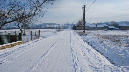 Jurnalul de la Dolhasca (4) - Literatura de azi