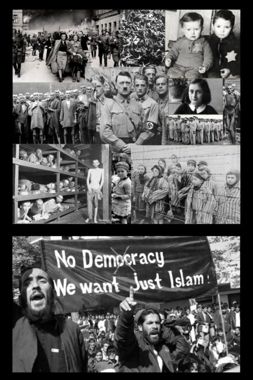 Terorismul islamic astăzi - Literatura de azi